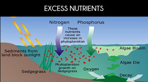 Problem | Delaware Estuary Water Clarity